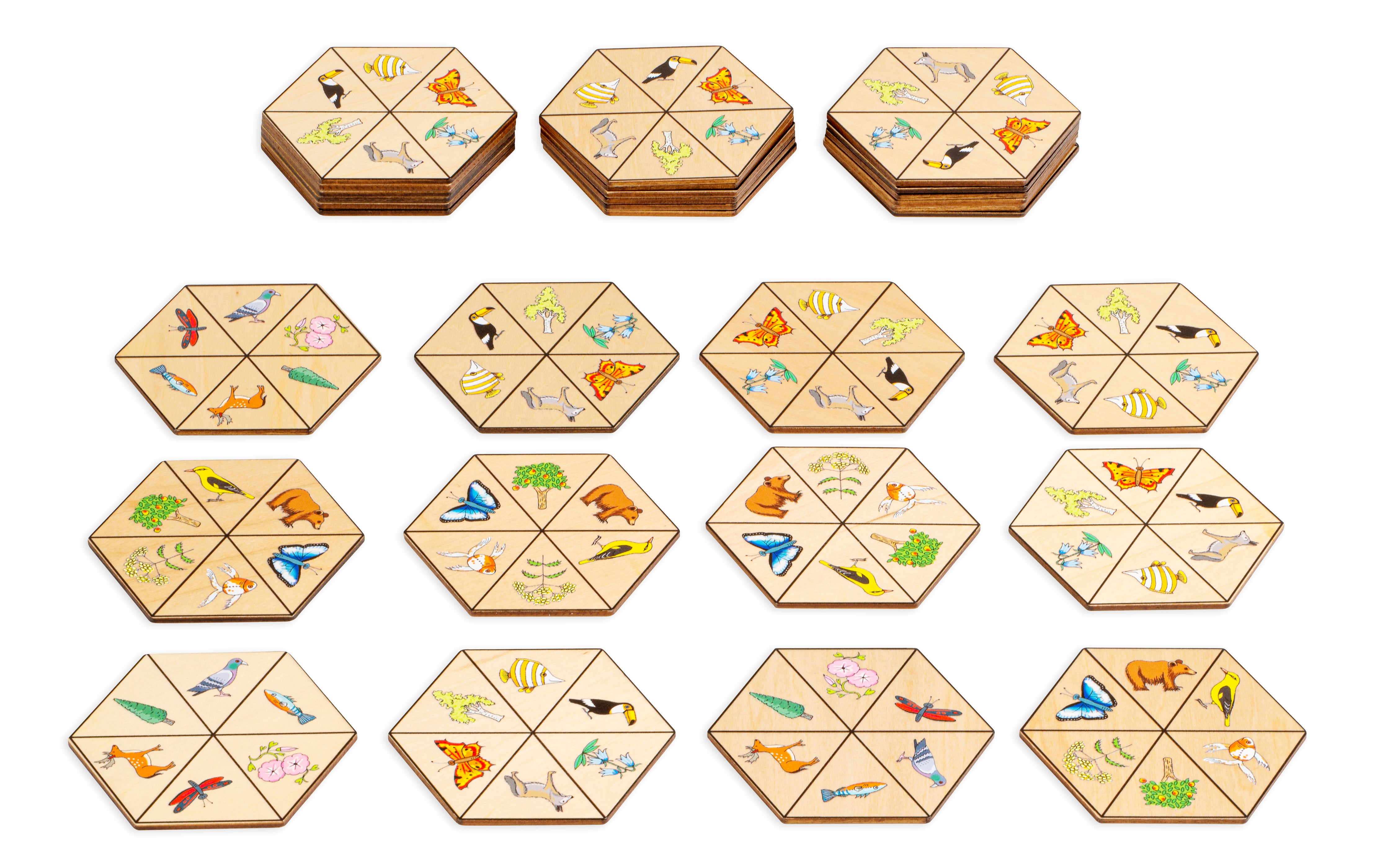 Hexagon Nature — EducationAll Australia