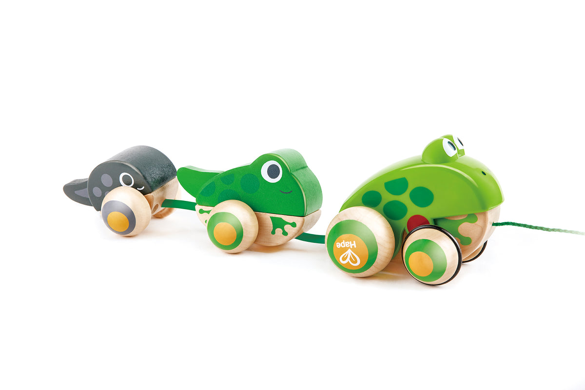 Pull-Along Frog Family — EducationAll Australia