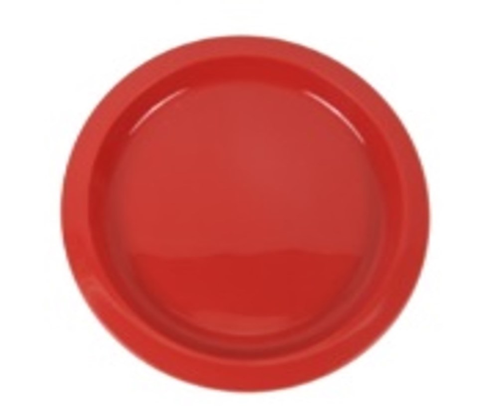 Allergy Plate - Red — EducationAll Australia