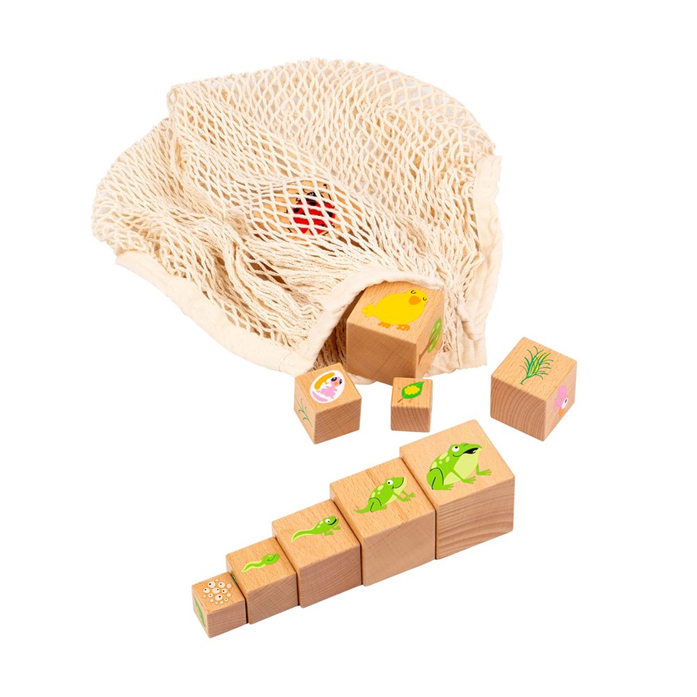 Life Cycle Blocks — EducationAll Australia