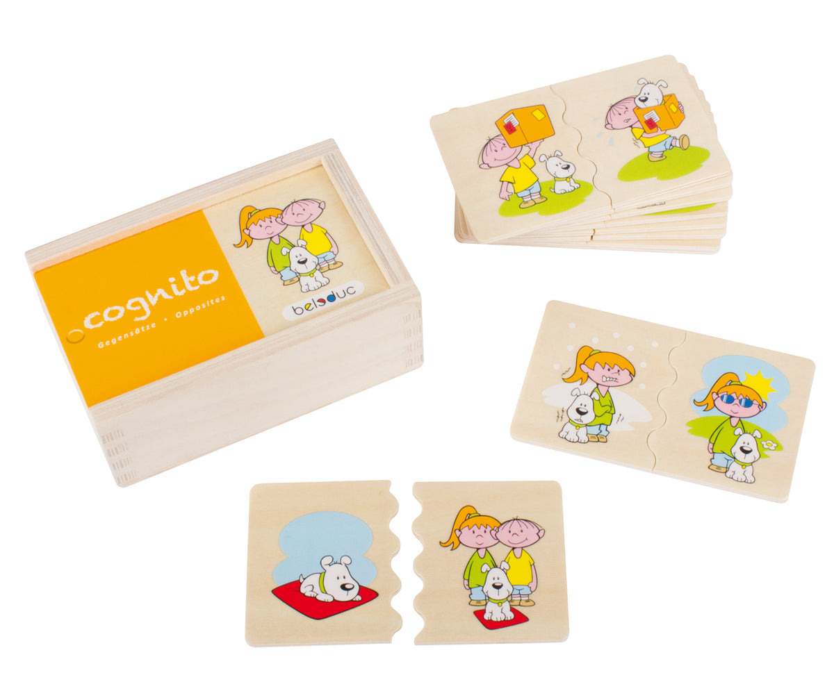 Cognito Game - Opposites — EducationAll Australia
