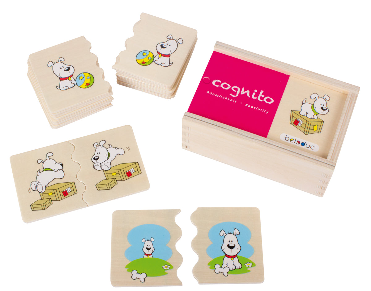 Cognito Game - Spatiality — EducationAll Australia