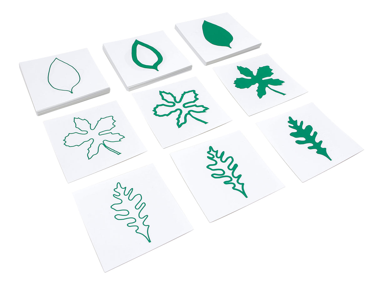 Leaf Cards — EducationAll Australia