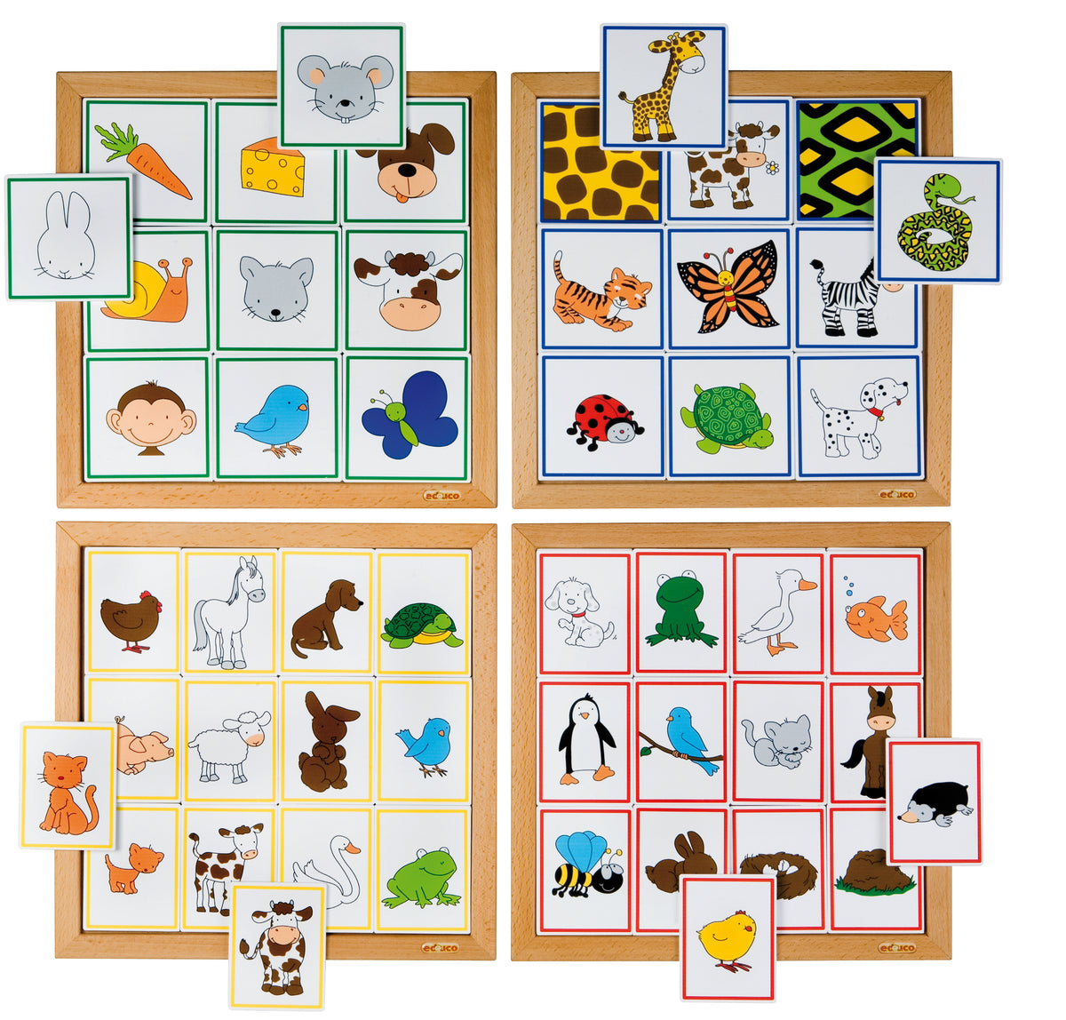 Sorting Animals - Where do they live? — EducationAll Australia